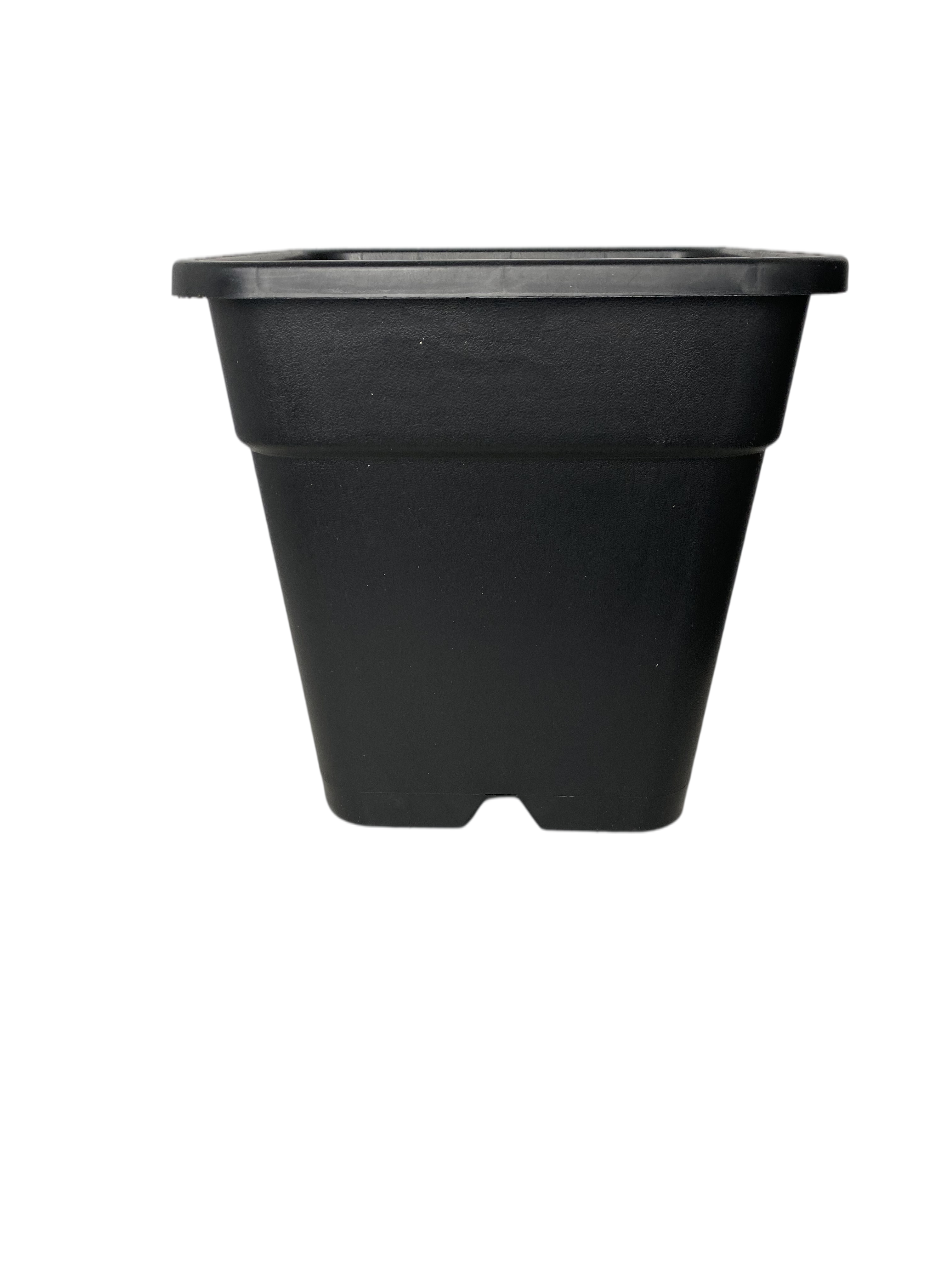 5 Gallon Square Nursery Pots - Ronbo Sunrise